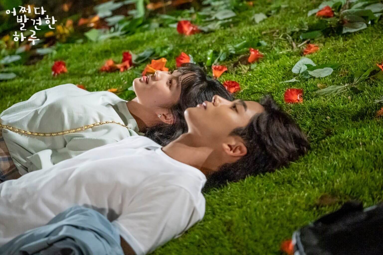 Extraordinary You || Kdrama Review - the wordy habitat