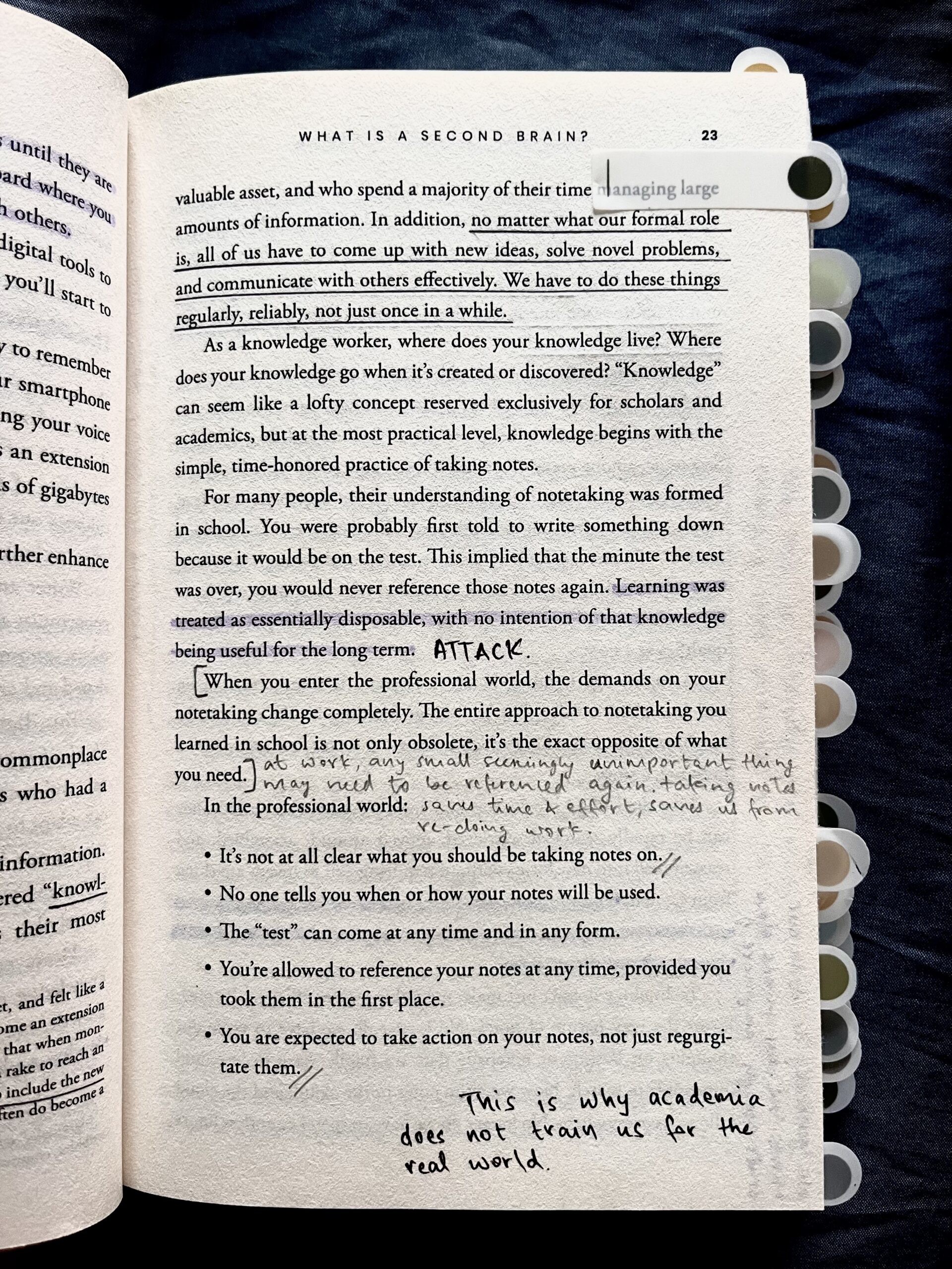 Building a Second Brain by Tiago Forte || Book Review - the wordy habitat
