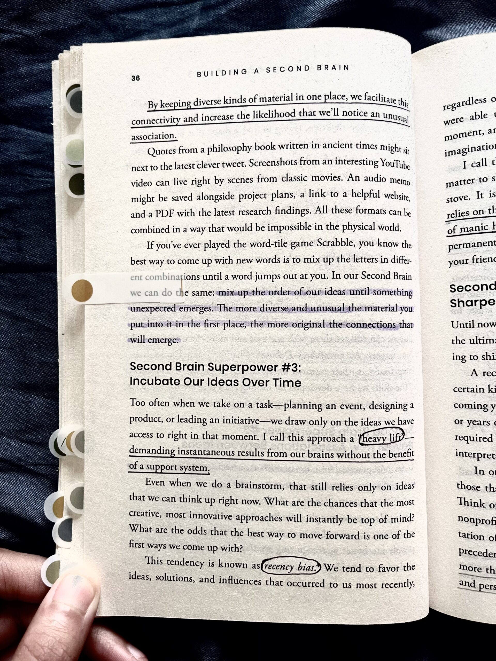 Building a Second Brain by Tiago Forte || Book Review - the wordy habitat